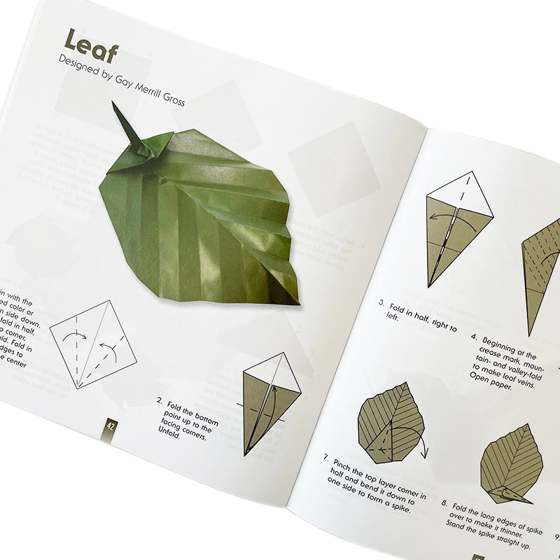 Amazing Origami Kit – Moki Store